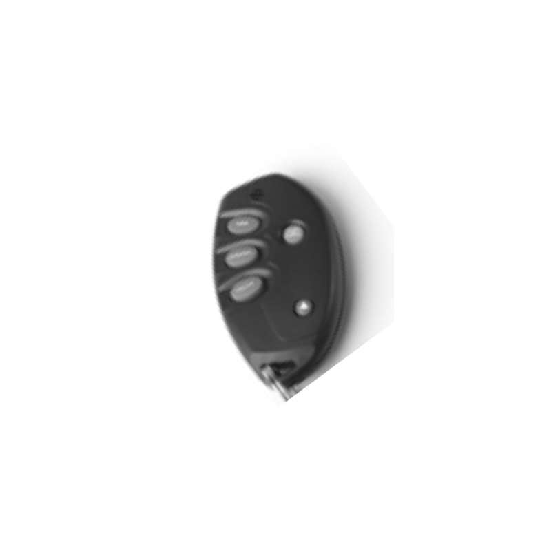 Code Alarm 1013473 Keyless Starter Remote GOH-PCGEN2